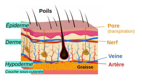 Amputés : les conseils d'ADEPA pour un bon entretien du moignon